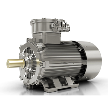 Explosion Proof Motor – REx Series – RITTER ELECTRIC MOTOR