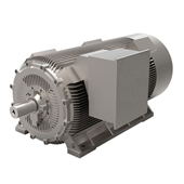 Medium Voltage Motor – RMV Series – RITTER ELECTRIC MOTOR